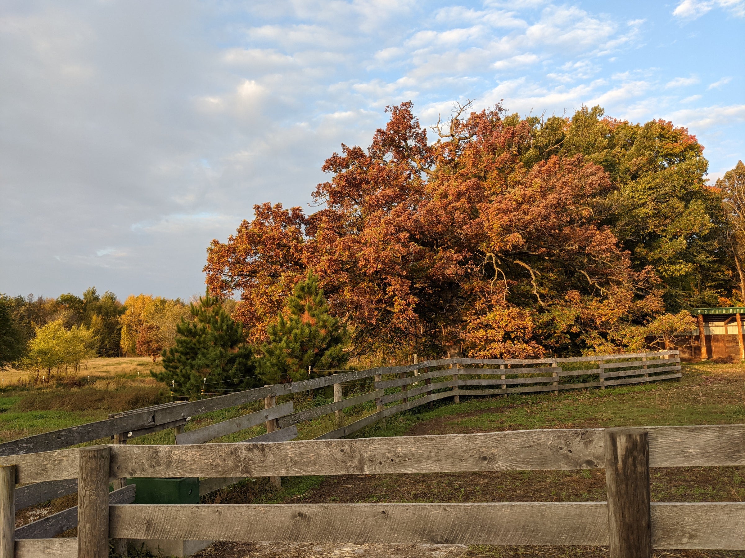 Wild Haven Farm Shop